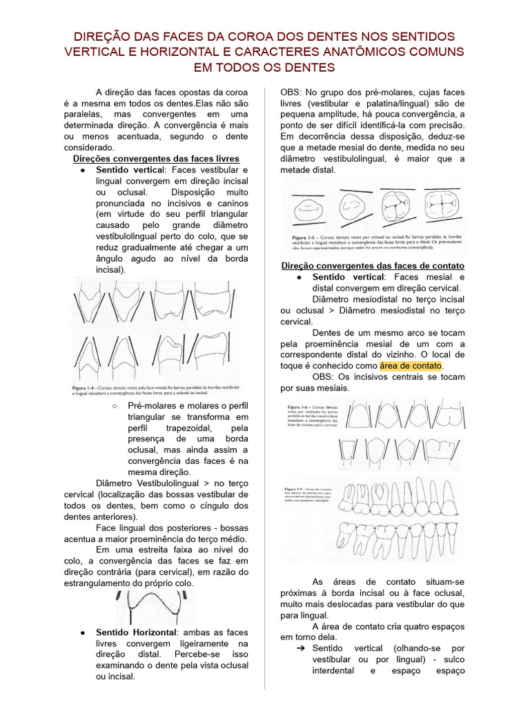 Direção Das Faces Da Coroa Dos Dentes Nos Sentidos Vertical e ...