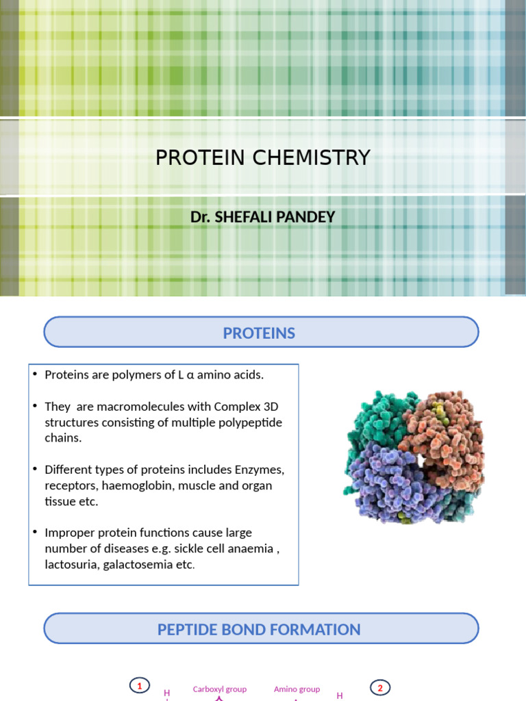 Protien Chemistry BDS | PDF | Protein Structure | Beta Sheet