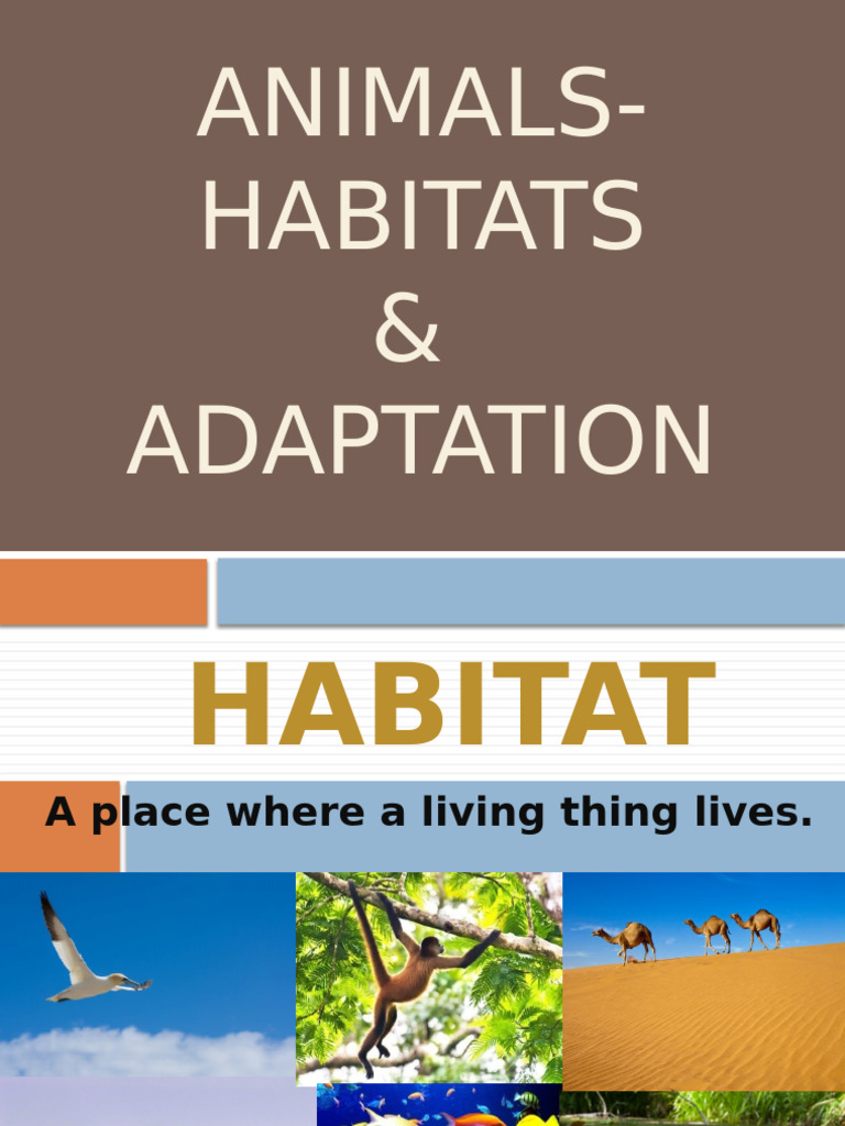 Animal Adaptations Across Habitats | PDF