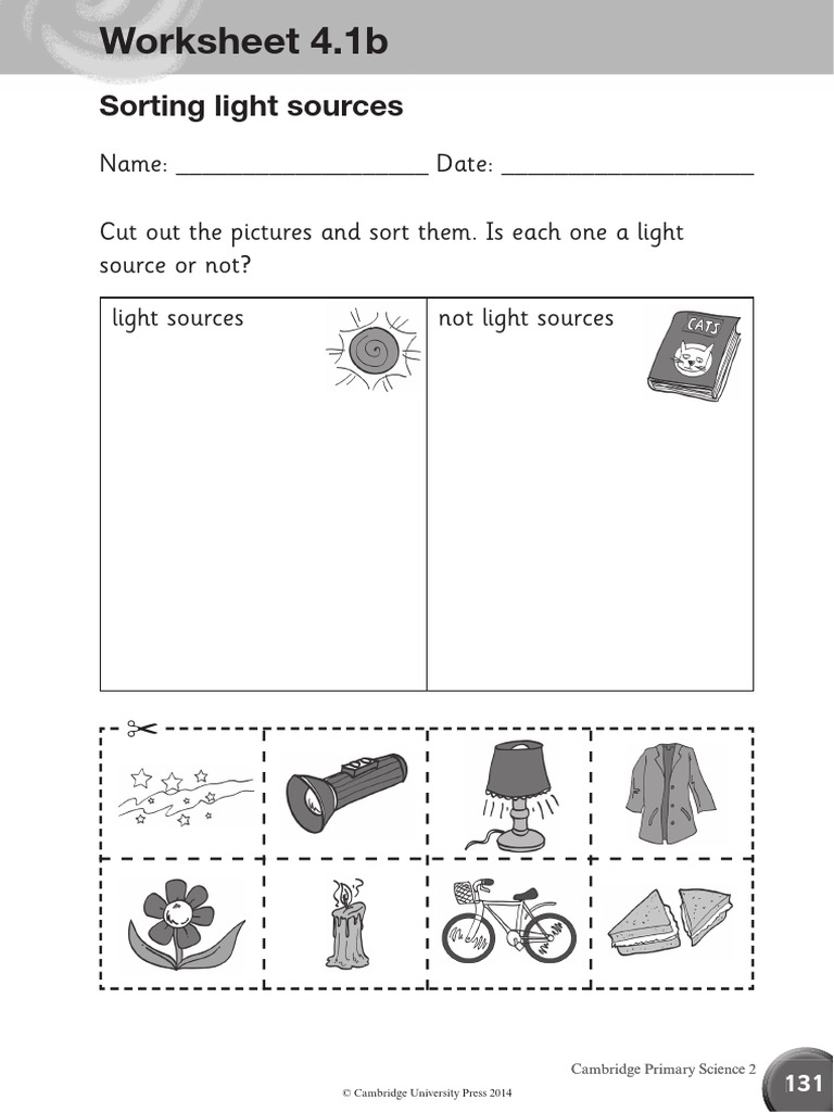Sorting Light Sources Worksheet | PDF