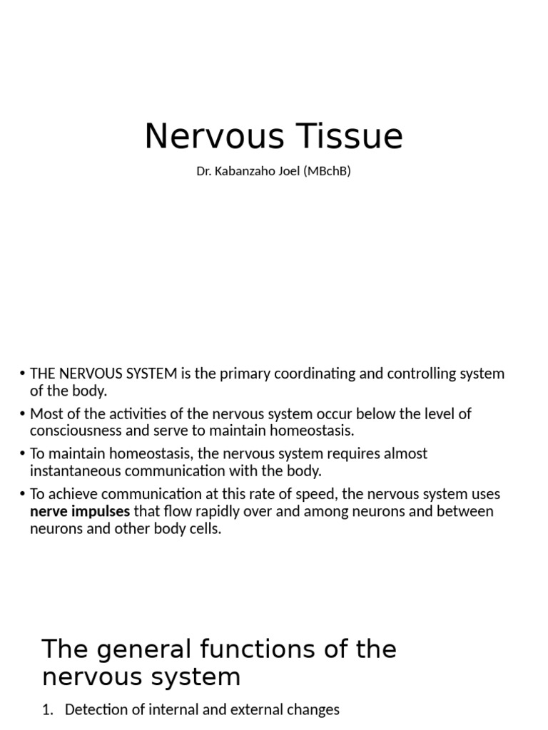 Nervous Tissue | PDF | Chemical Synapse | Neurotransmitter
