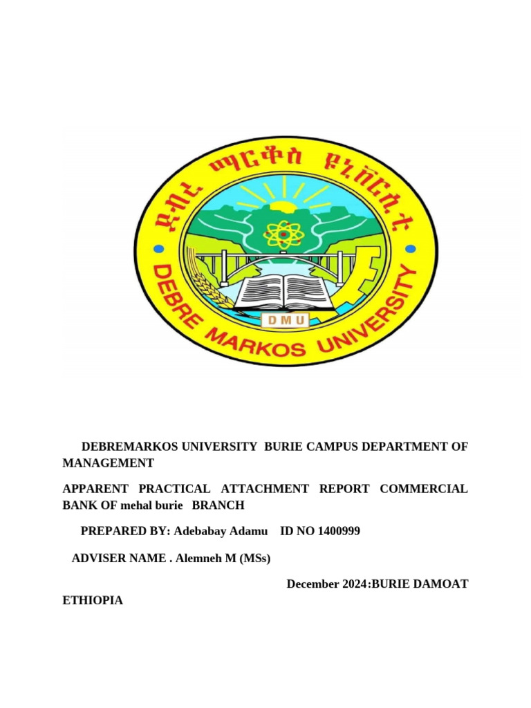 Adebabay Practical Attachment (1) | PDF | Swot Analysis | Knowledge