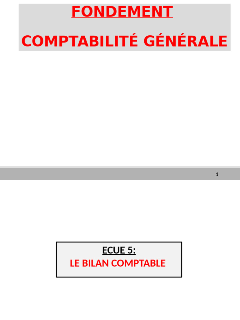 Comprendre le Bilan Comptable | PDF | Bilan comptable | Capitaux propres