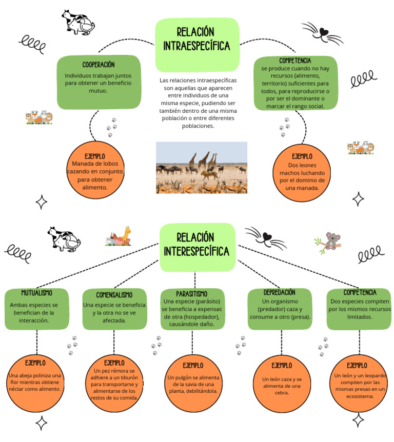 Relaciones Bióticas - Esquemas | PDF | Depredación | Interacciones biológicas