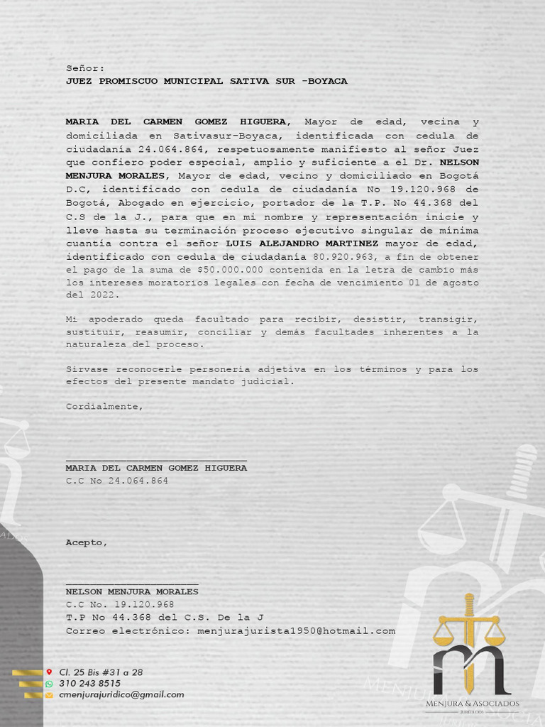 Poder Demanda Ejecutiva (1) | PDF