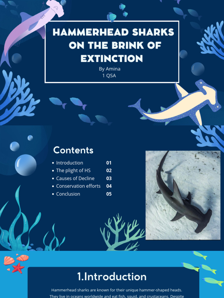 Blue Illustrative Organic Ocean Habitat Presentation | PDF | Sharks | Habitat Destruction