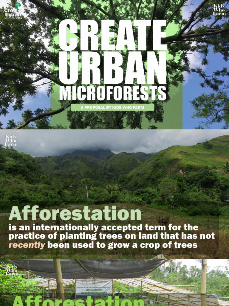 Create Urban Microforests by Kids Who Farm | PDF | Forests | Nature