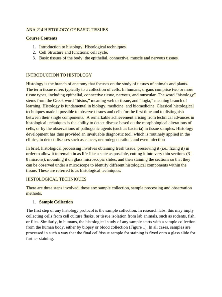 Ana 214 Histology of Basic Tissues-1 | PDF | Mitosis | Epithelium