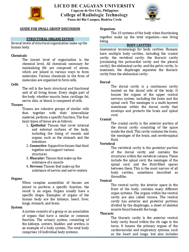 Study Guide - Basic - Removed | PDF | Anatomical Terms Of Motion ...