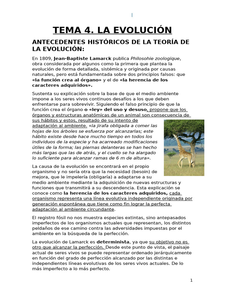 Evolución: Lamarck y Darwin en Biología | PDF | Seleccion natural ...