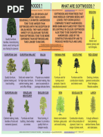 Trees Used for Paper Production | PDF | Pulp (Paper) | Paper