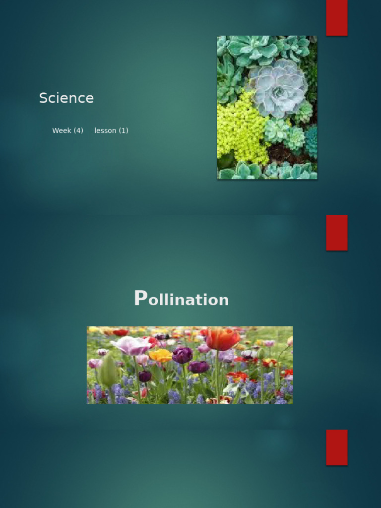 W4 L1 Pollination857pf | PDF | Flowers | Pollination