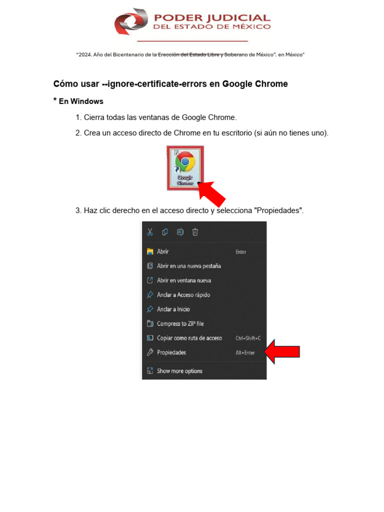 IGNORE CERTIFICATE_GOOGLE CHROME1 | PDF