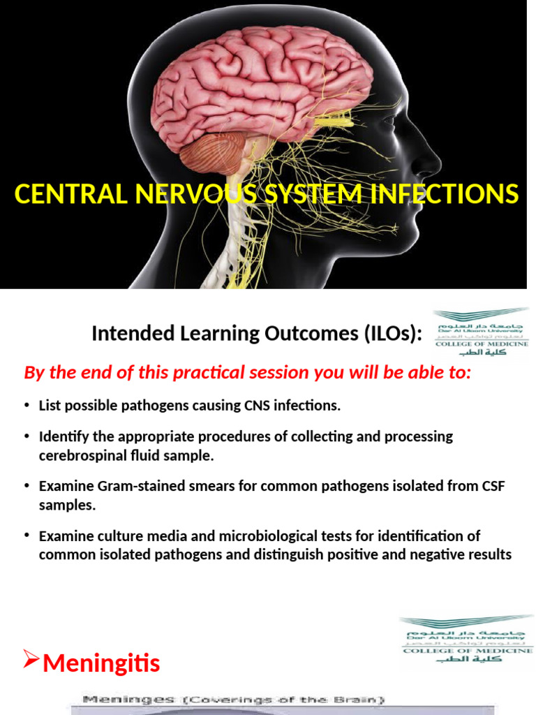 CNS Infections: Diagnosis & Pathogens | PDF | Meningitis ...