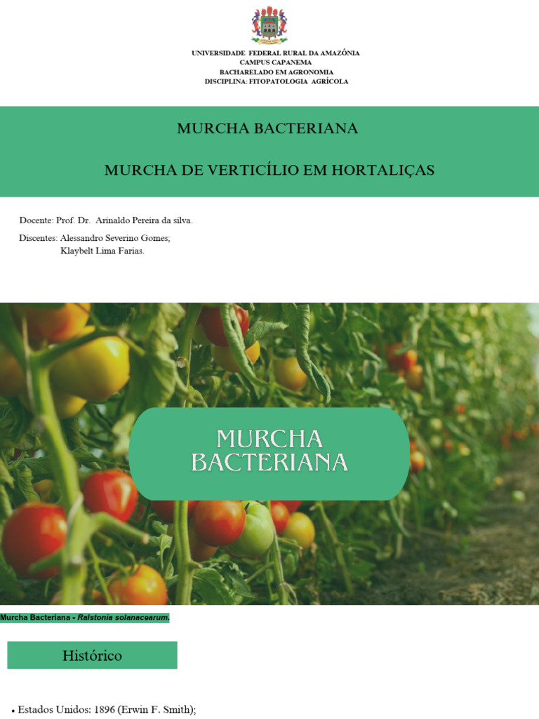 Murcha Bacteriana em Hortaliças | PDF | Fungo | Bactérias