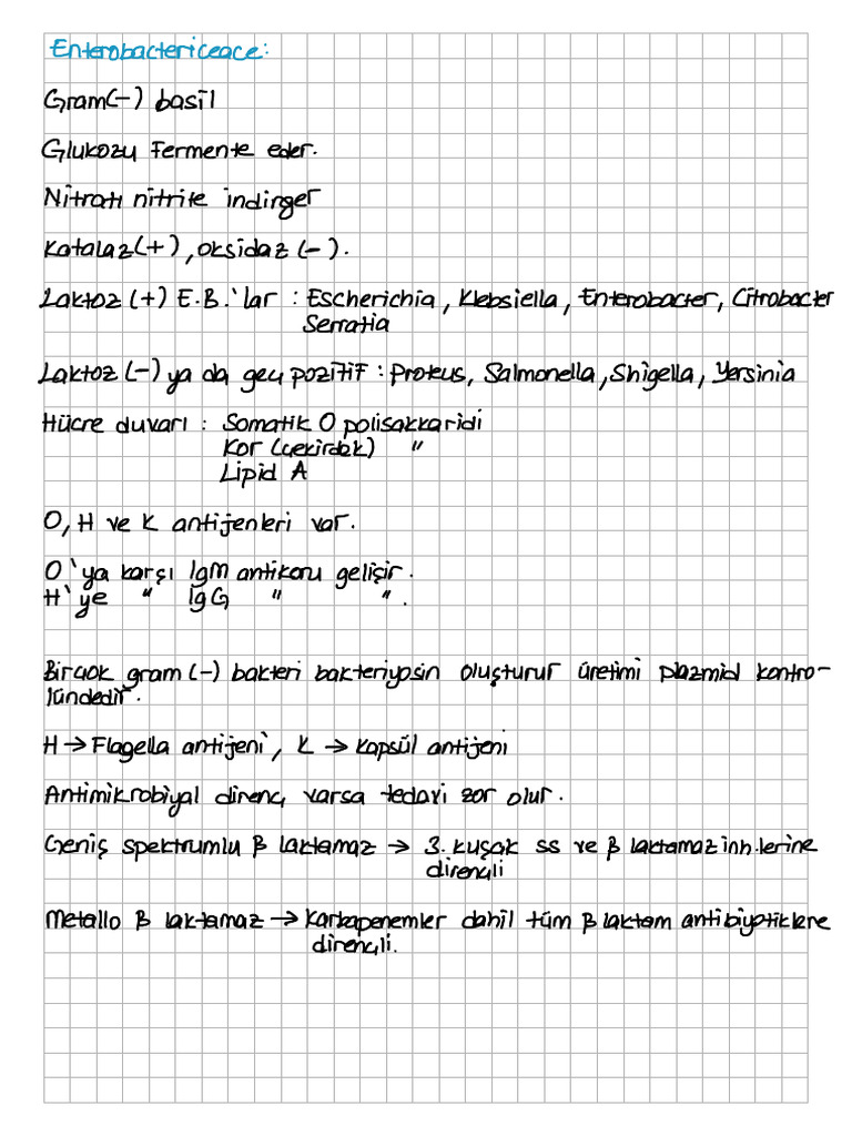 Mikro Pdf
