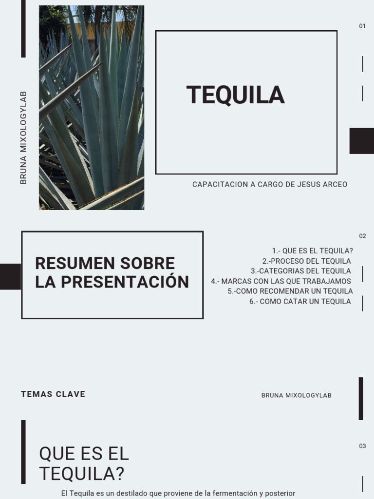 Capacitacion Tequila | PDF