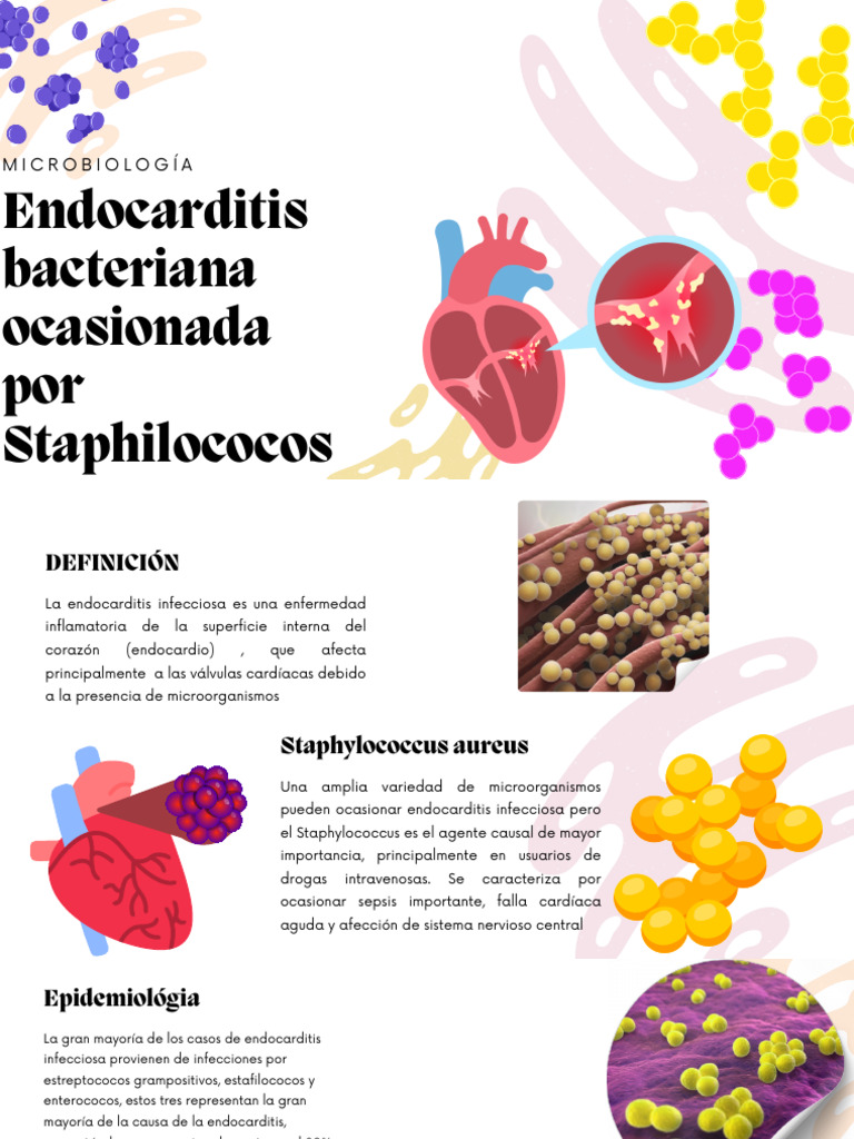 Endocarditis Bacteriana Ocasionada Por Staphilococos - 20241205 ...