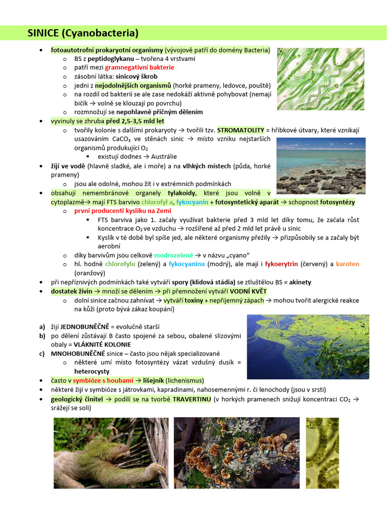 Sinice, Archea | PDF