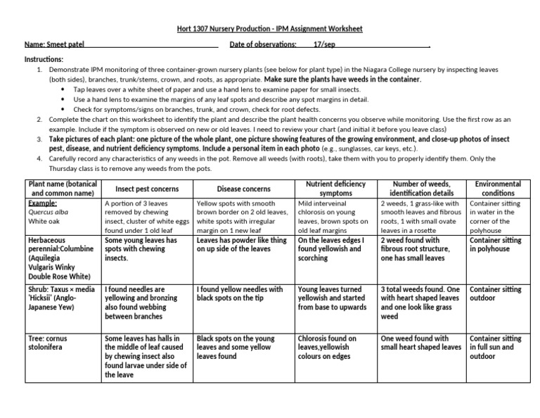 Hort 1307 IPM Assignment Worksheet PZF24 Wide Version | PDF | Leaf | Plant Nursery