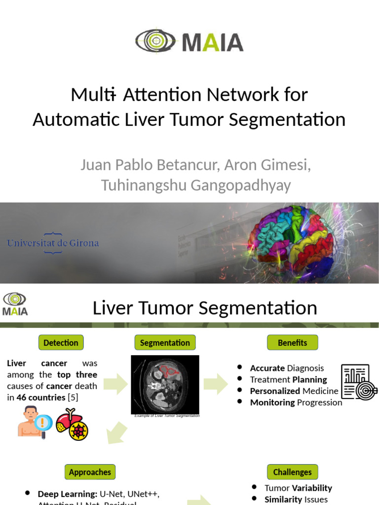 Multi Attention Network For Automatic Liver Tumor Segmentation | PDF | Image Segmentation ...