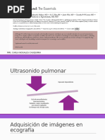 Protocolo Blue | PDF | Enfermedades y trastornos | Neumología