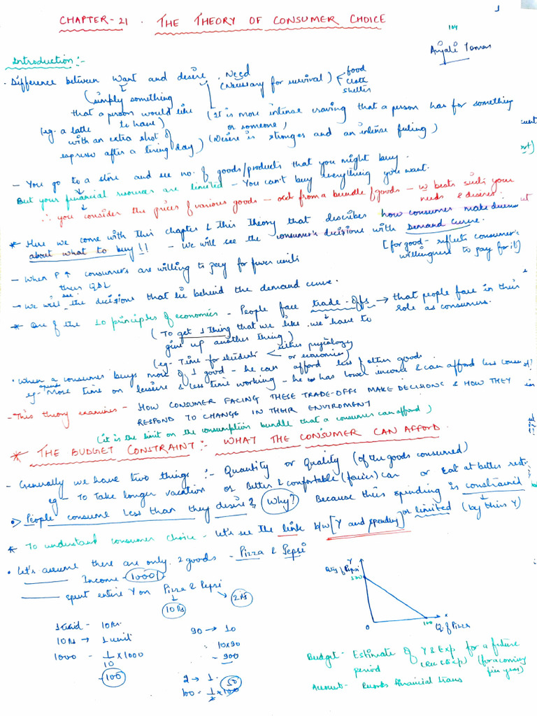 Theory of Consumer Choice | PDF