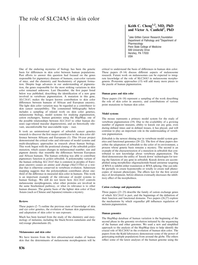 Experimental Dermatology - 2006 - Cheng - The Role of SLC24A5 in Skin ...