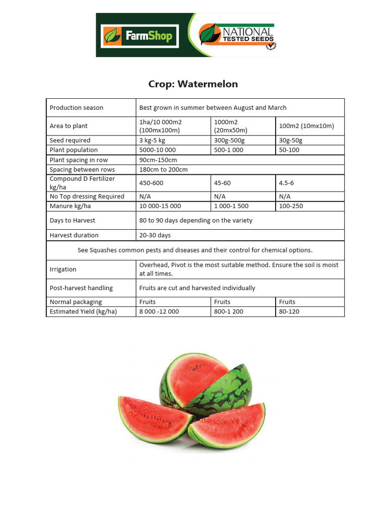 Watermelon Cultivation Guide | PDF