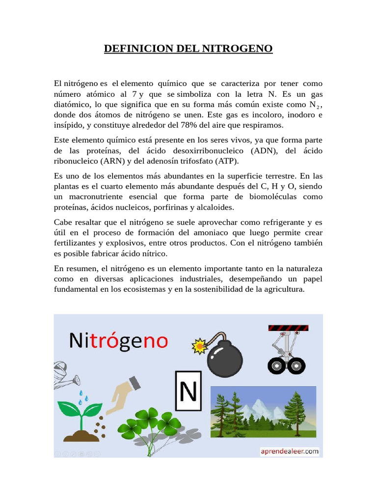 DEFINICION DEL NITROGENO | PDF