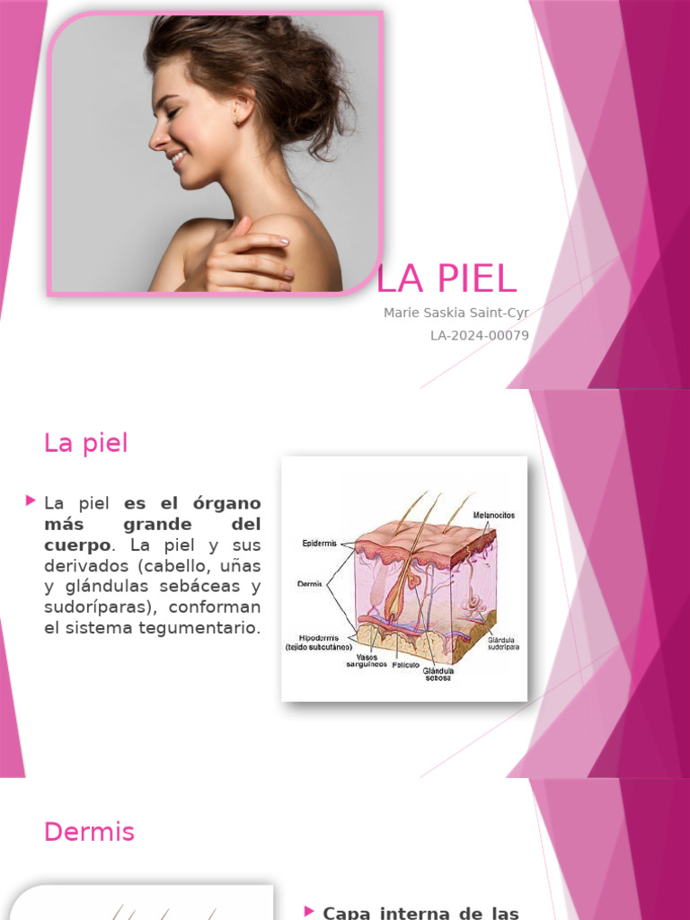 Estructura y Función de la Piel Humana | PDF