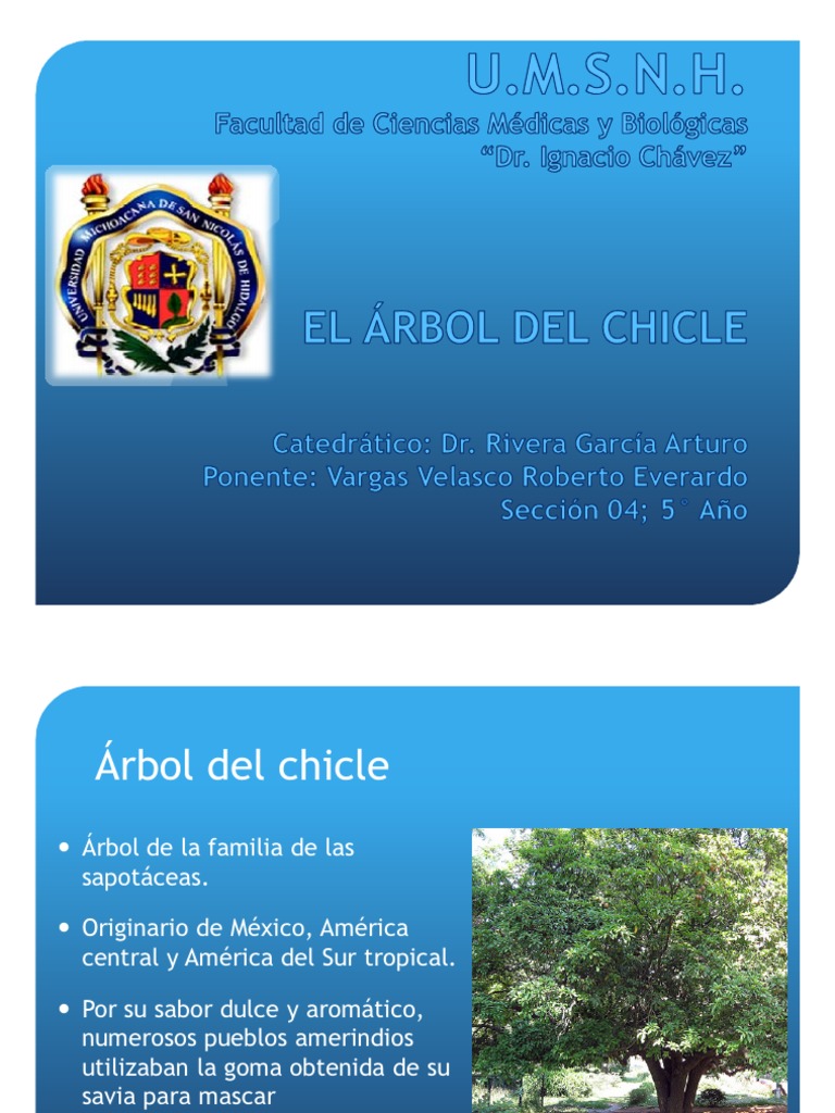 A) EL ÁRBOL DEL CHICLE | PDF | Horticultura y jardinería | Plantas