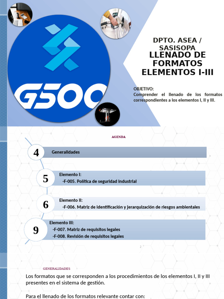 Formatos Elementos I,II y III | PDF