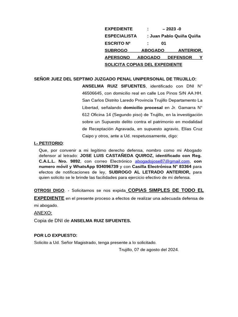 APERSONA ANSELMA PENAL | PDF