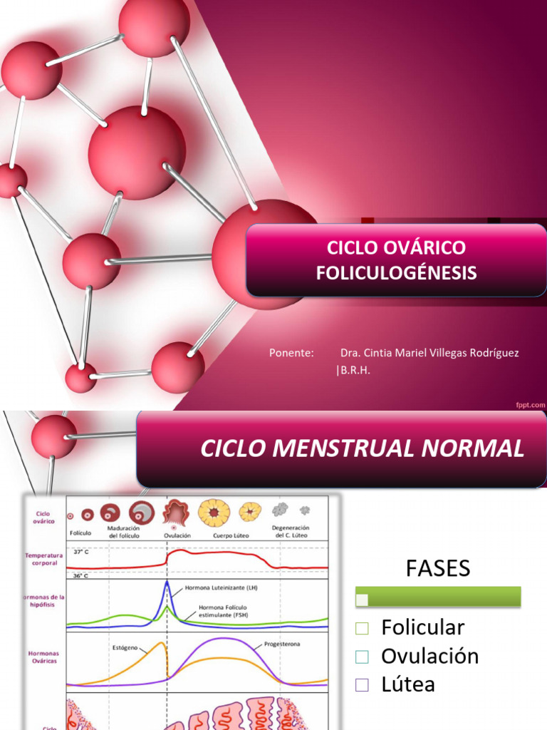 M1. Tema 4 Ciclo Ovárico Foliculogénesis | PDF | Sistema endocrino | Sistema reproductivo