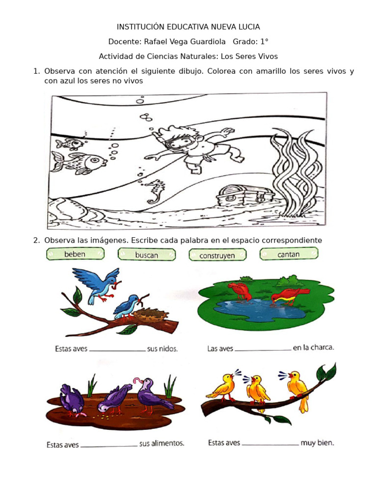 Actividad Ciencias: Seres Vivos 1° Grado | PDF
