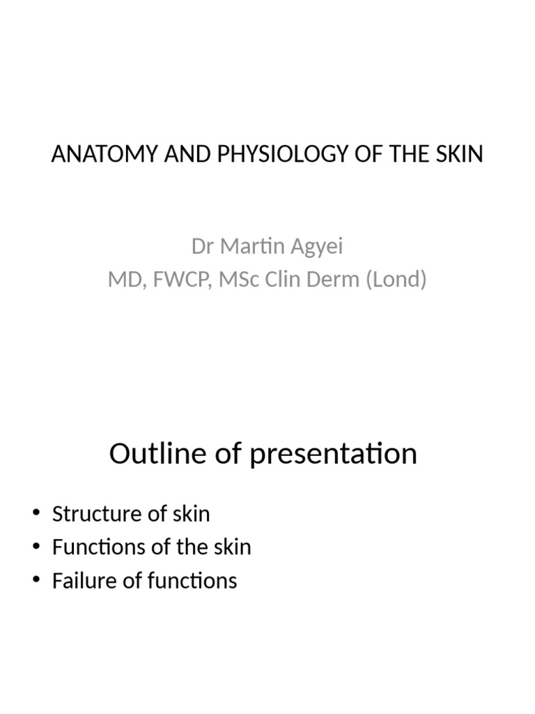 Skin Anatomy and Physiology Guide | PDF | Epidermis | Skin