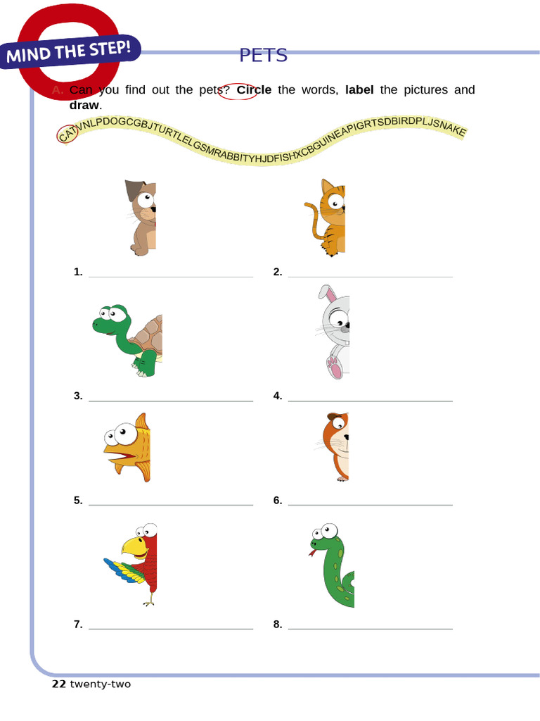 Hon5 Mind The Step Pets | PDF