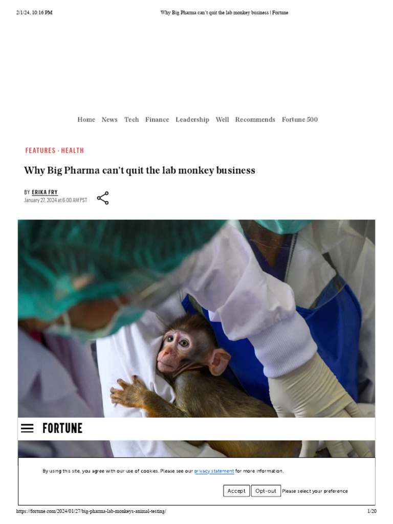 Big Pharma's Reliance on Lab Monkeys | PDF | Animal Testing ...