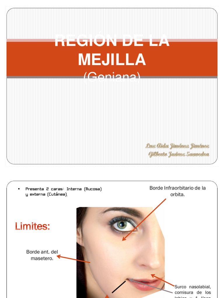 Región de La Mejilla | PDF