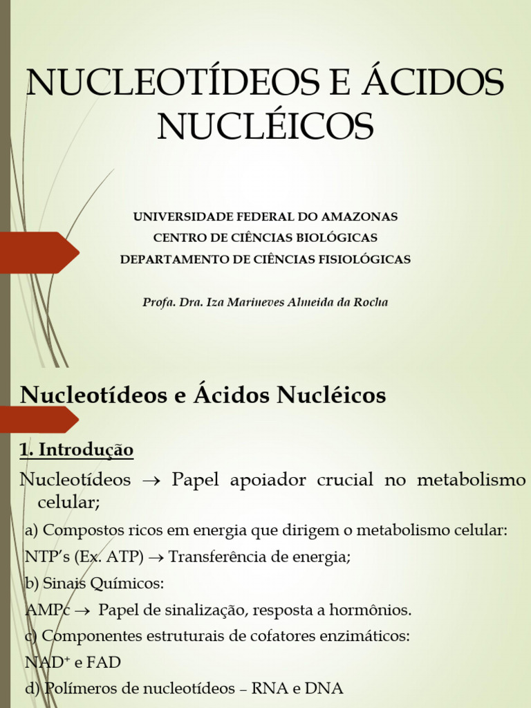 Nucleotideos & Ácidos Nucléicos Bio | PDF | RNA | DNA
