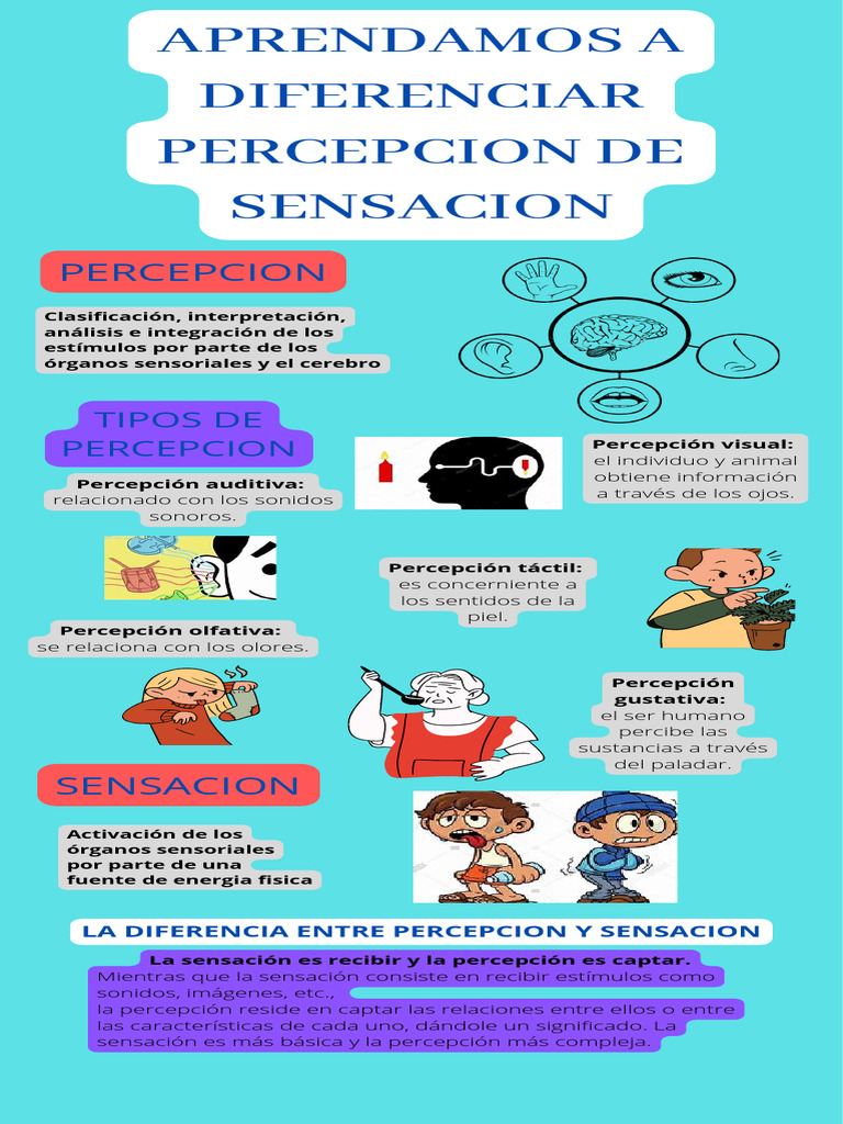 Aprendamos A Diferenciar Percepcion de Sensacion | PDF