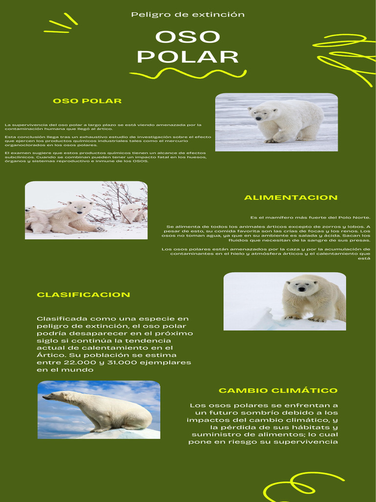 Infografía Proyecto de Biología moderno verde amarillo_20240521_083038_0000 | PDF | Oso polar | Osos