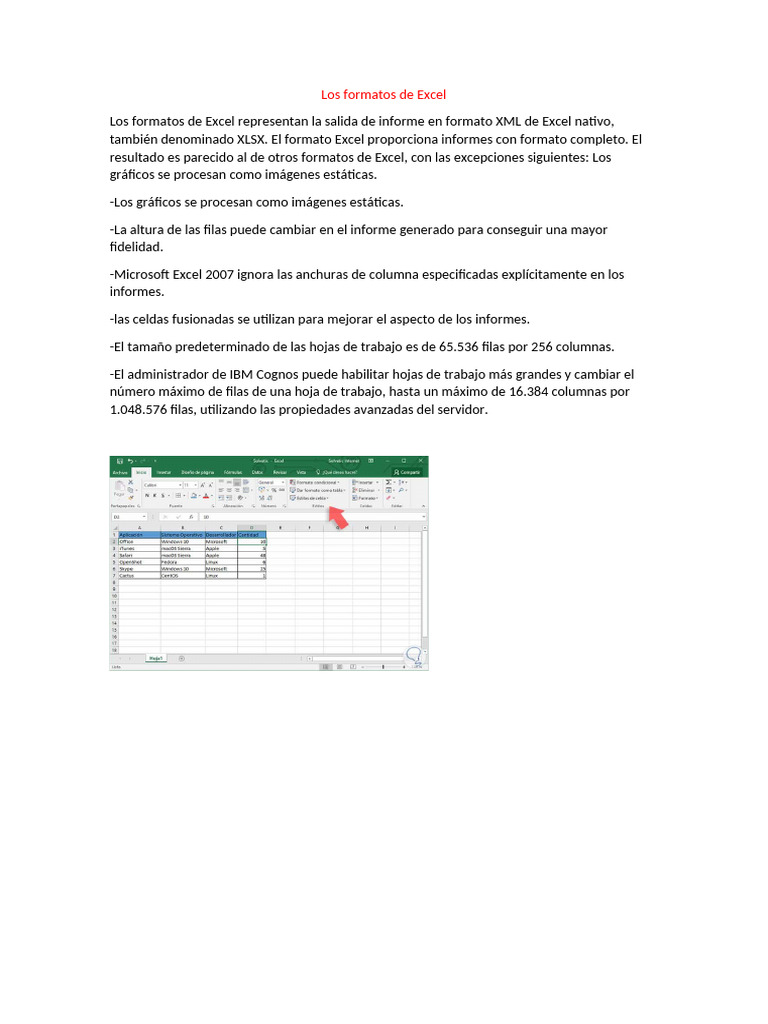 Los formatos de Excel representan la salida de informe en formato XML ...