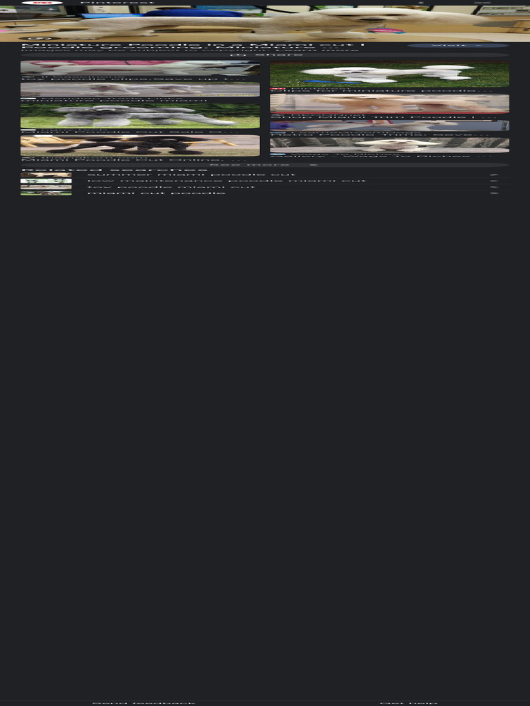 Miami Cut Miniature Poodle - Google Search | PDF