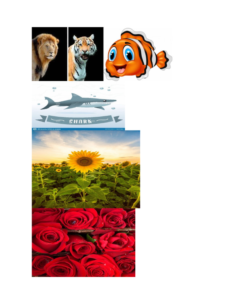 100 Verbos Ingles, Pasado, Presente y Participio | PDF