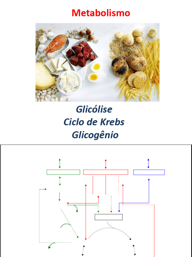 Glicólise: Etapas e Metabolismo Energético | PDF | Glicolise | Dieta e ...