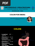 Escala de Boston | PDF | Ciencia y matemáticas