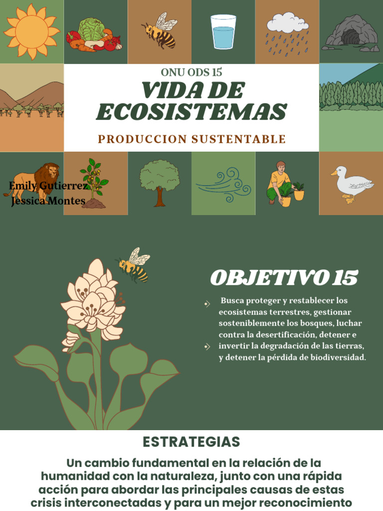 _Presentación de juego sobre Ecosistemas Ilustrado Colorido | PDF | Biodiversidad | Deforestación