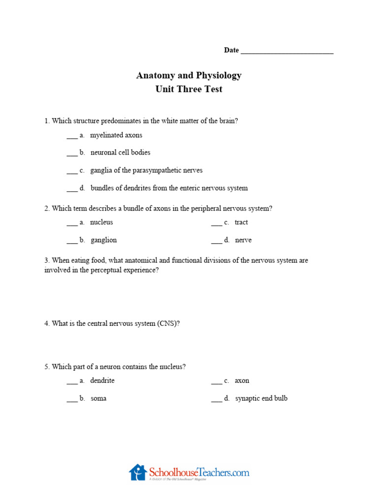 Anatomy and Physiology Unit 3 Test Fillable | PDF | Nervous System ...